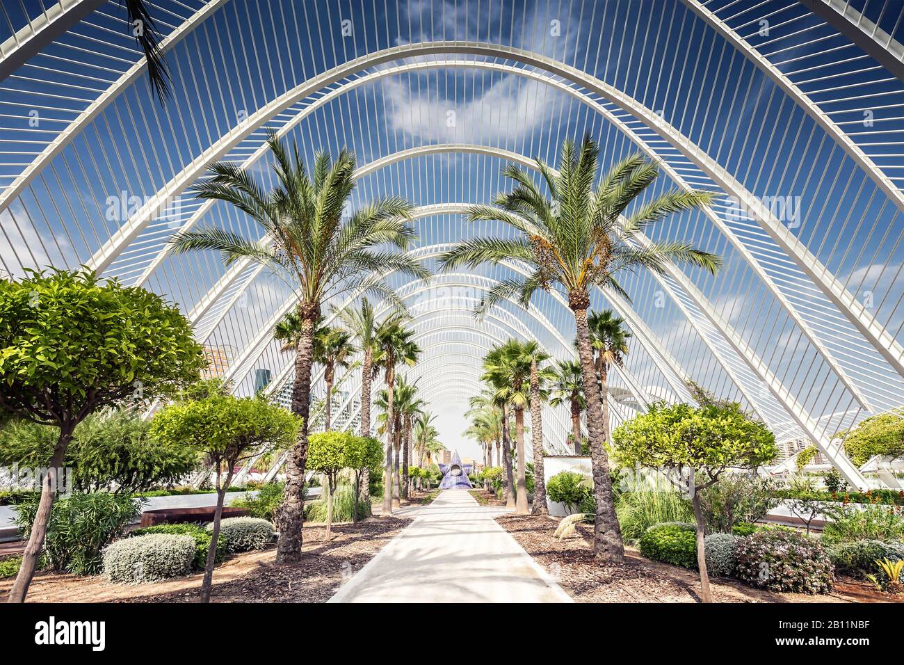 L'Umbracle Park and Night Club, Ciudad de las Artes y las Ciencias ...