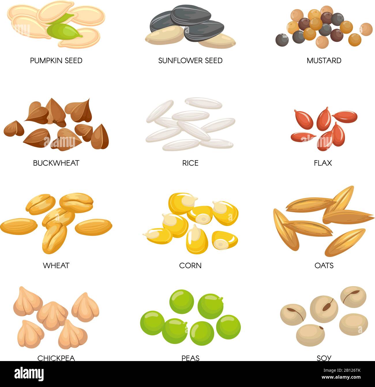 Graines de plantes. Céréales, noix de pois chiches et grains de ...