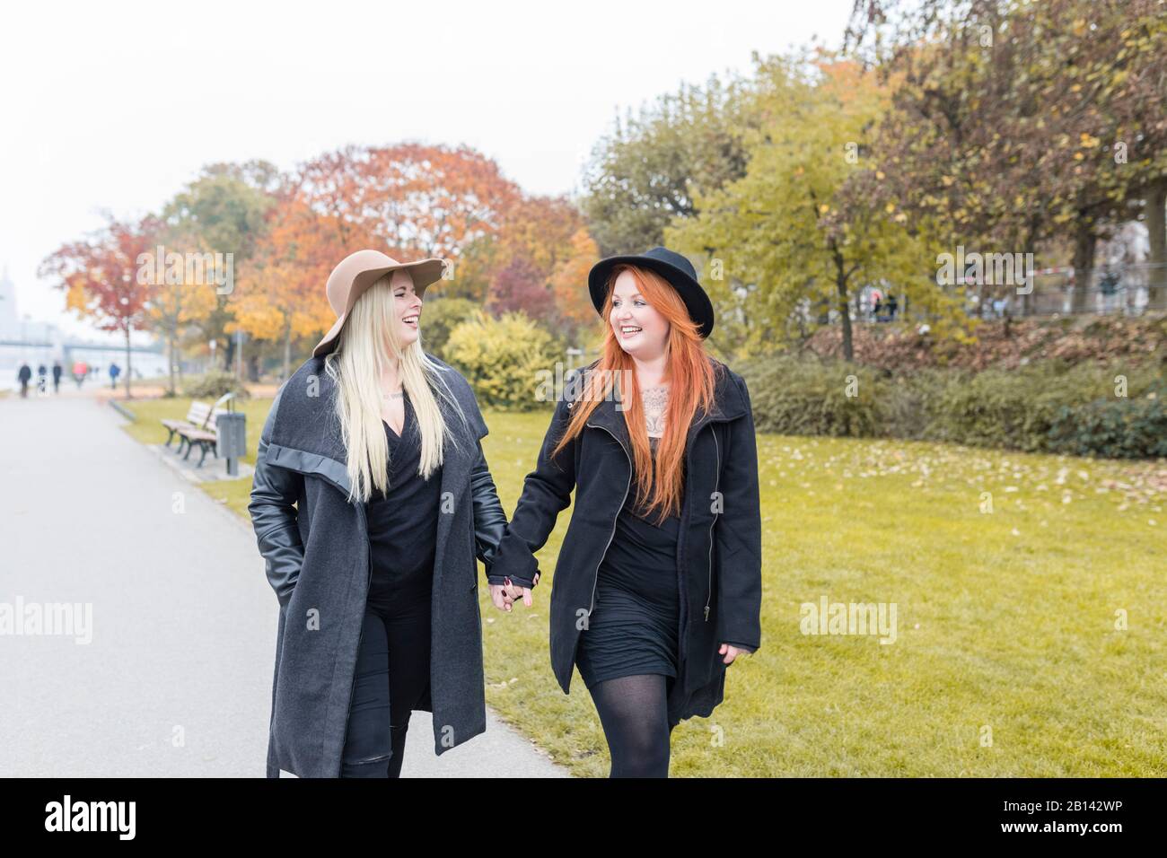 Nous allons ensemble Banque de photographies et d’images à haute ...