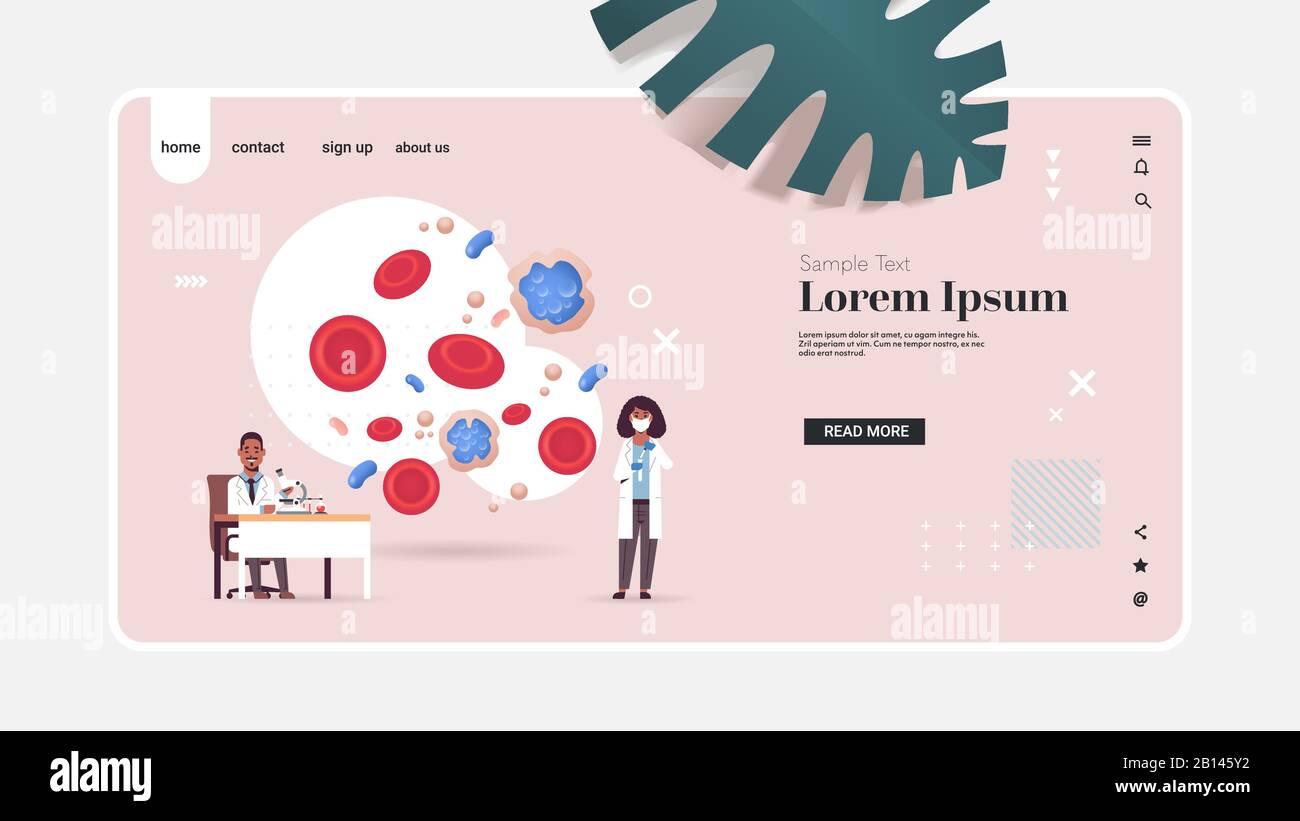 Vaisseau sanguin microscope Banque d'images vectorielles - Alamy