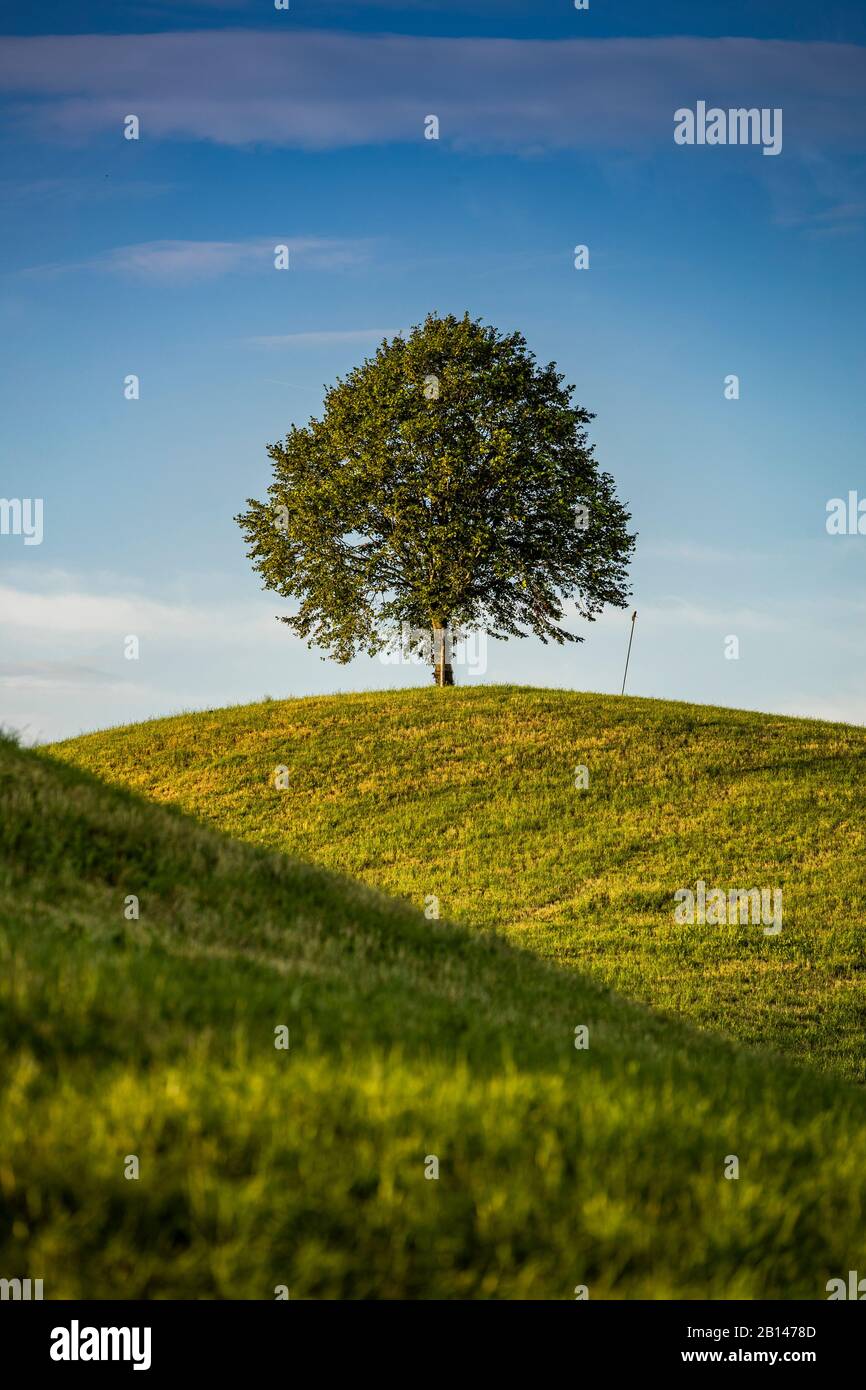Paysage vert Banque de photographies et d’images à haute résolution - Alamy