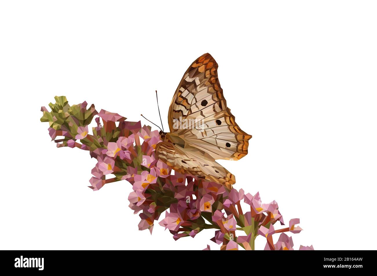 Bug low poly Banque d'images détourées - Alamy