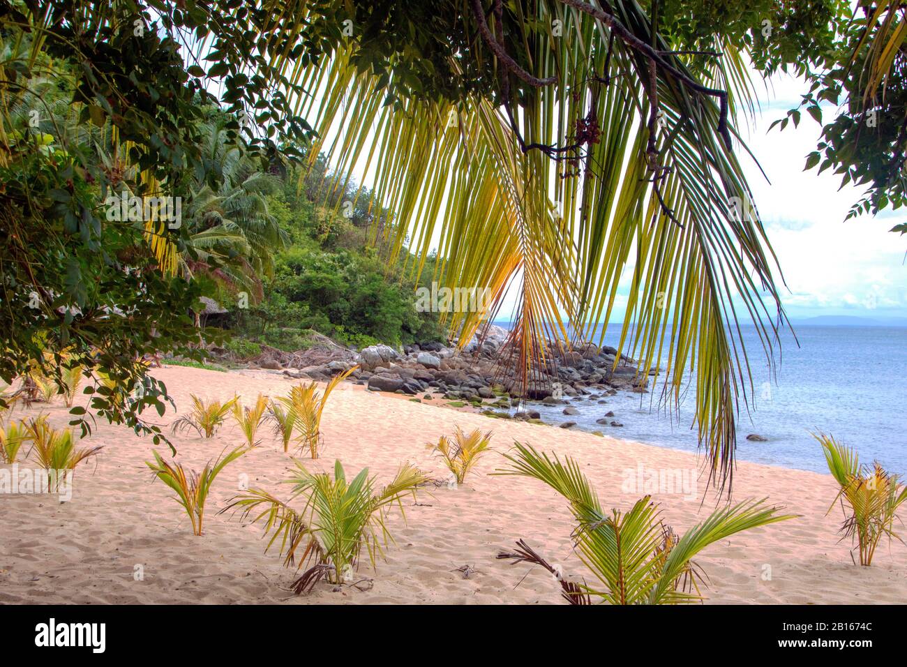 Plage sur l'île de Cu Lao Cham, une des îles de Cham au Vietnam ...