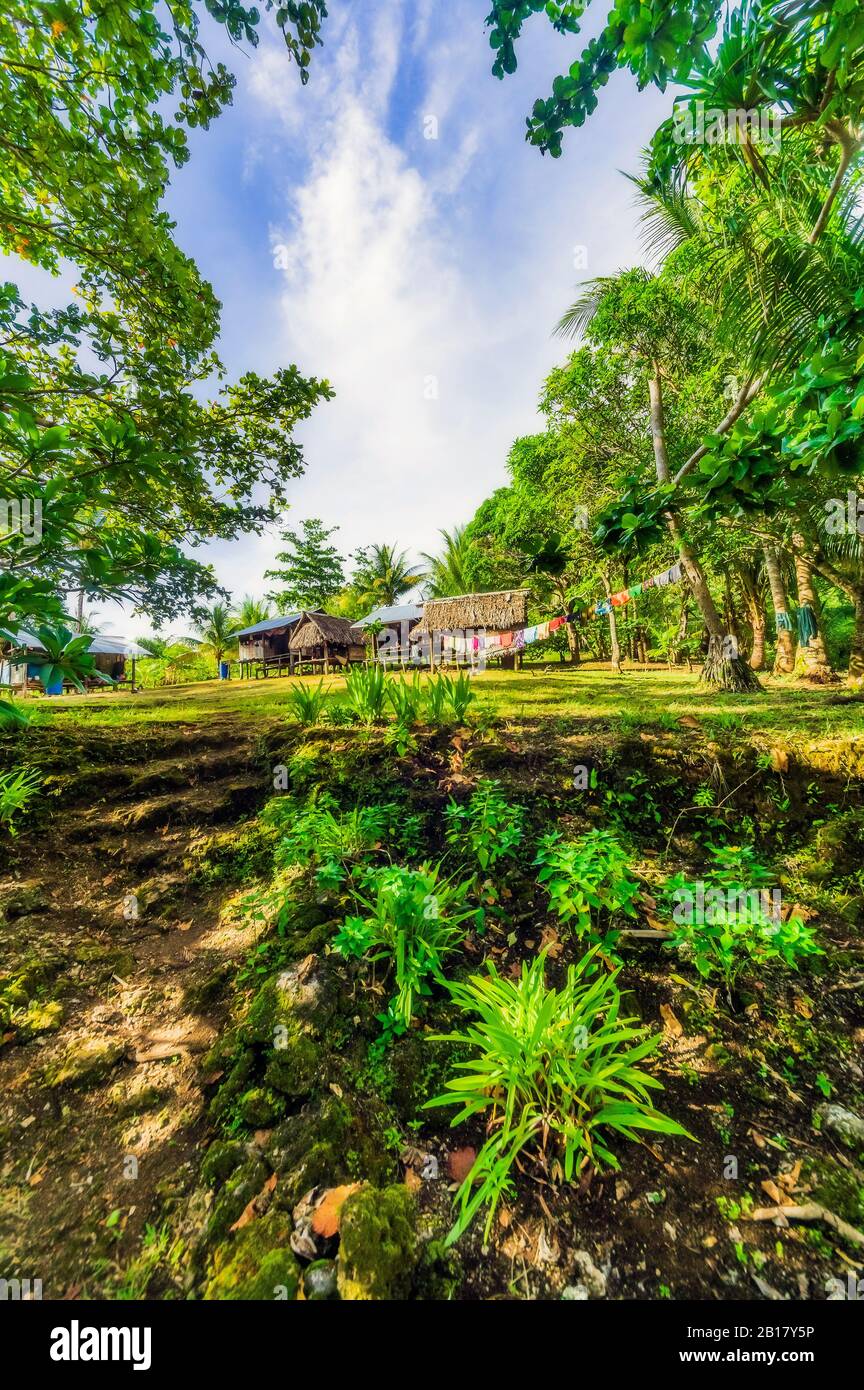 Papua new guinea trobriand islands Banque de photographies et d’images ...