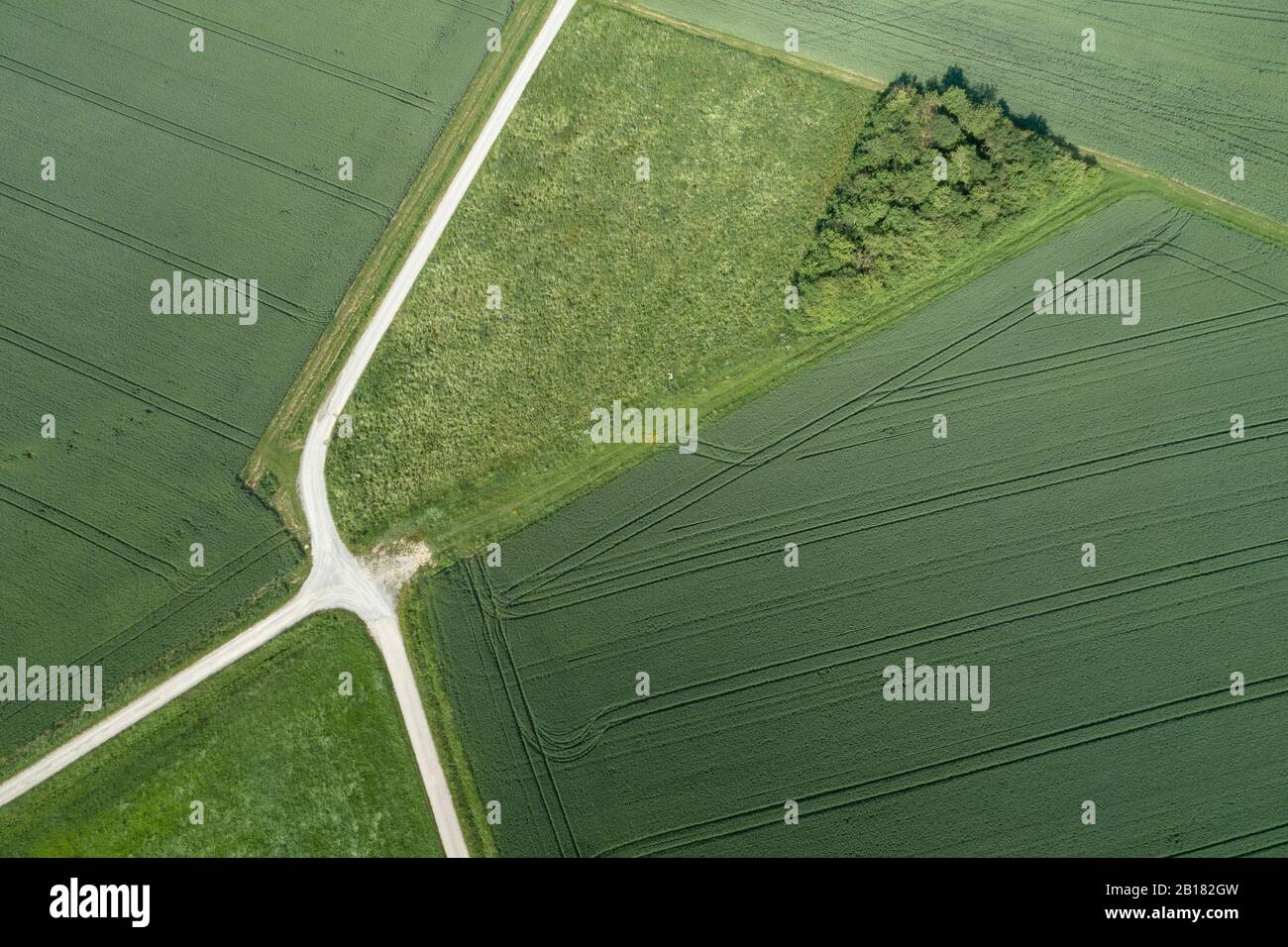 Chemin De Terre Dans Les Champs Banque d'image et photos - Alamy