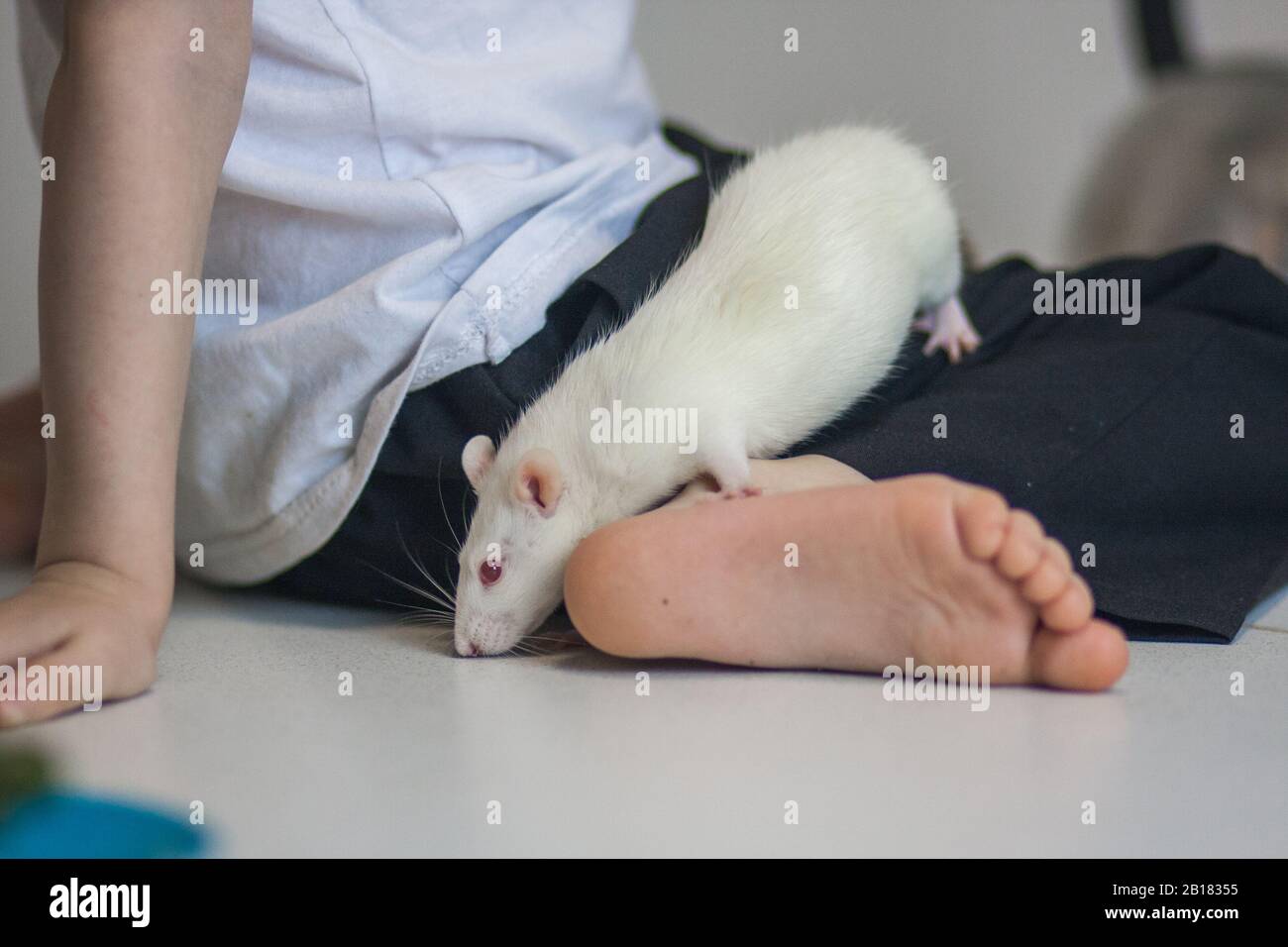 Chatouille pied talon Banque de photographies et d’images à haute ...