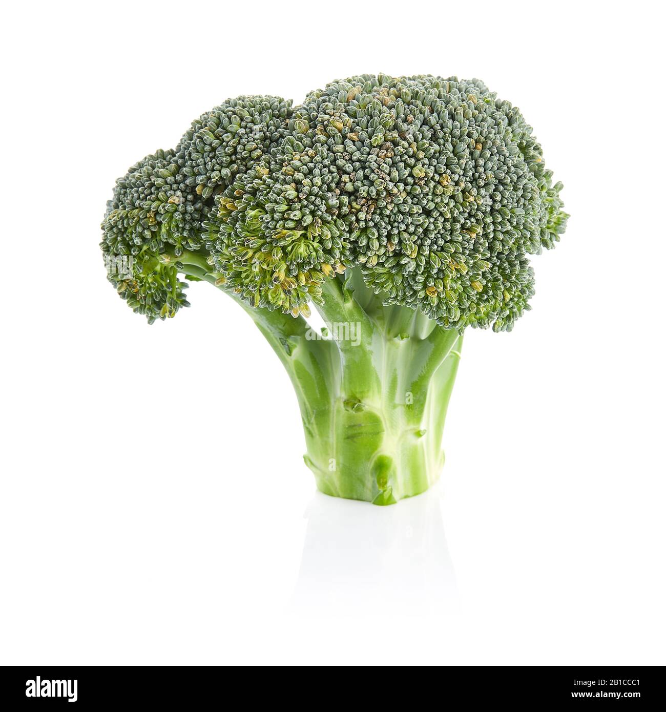 Cabbage key Banque de photographies et d’images à haute résolution - Alamy