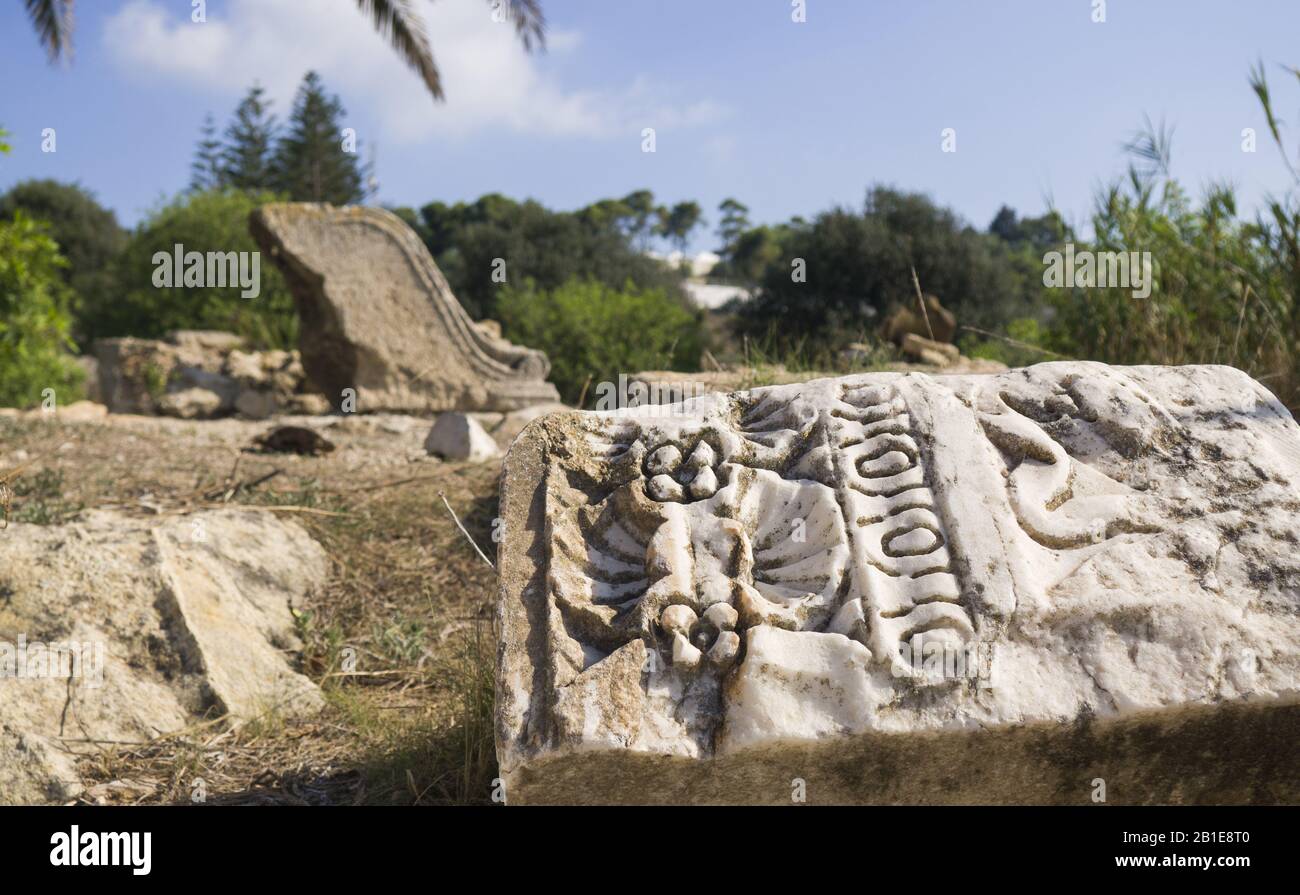 Tunisia carthage flag Banque de photographies et d’images à haute ...