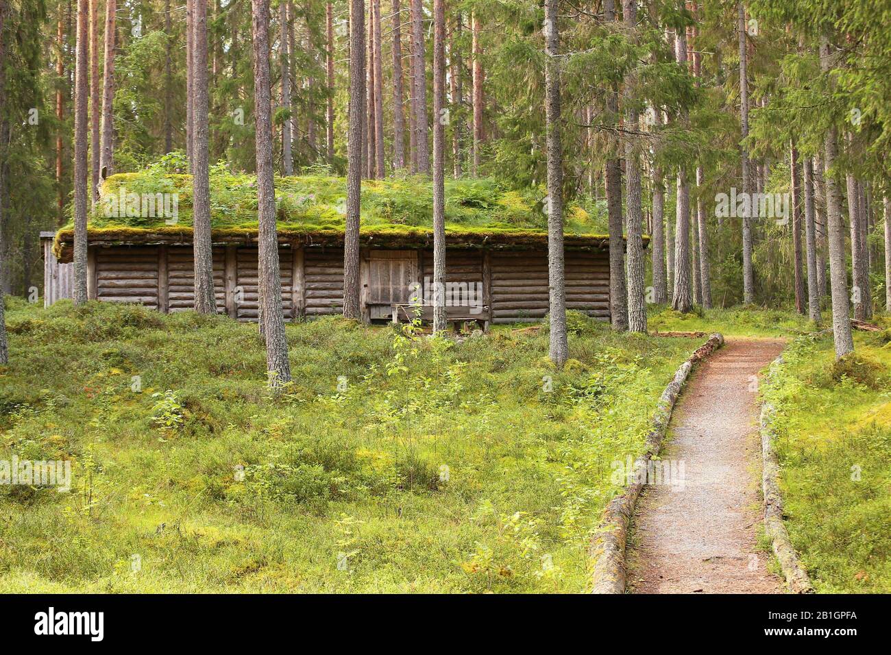 Cabane de viking Banque de photographies et d’images à haute résolution ...