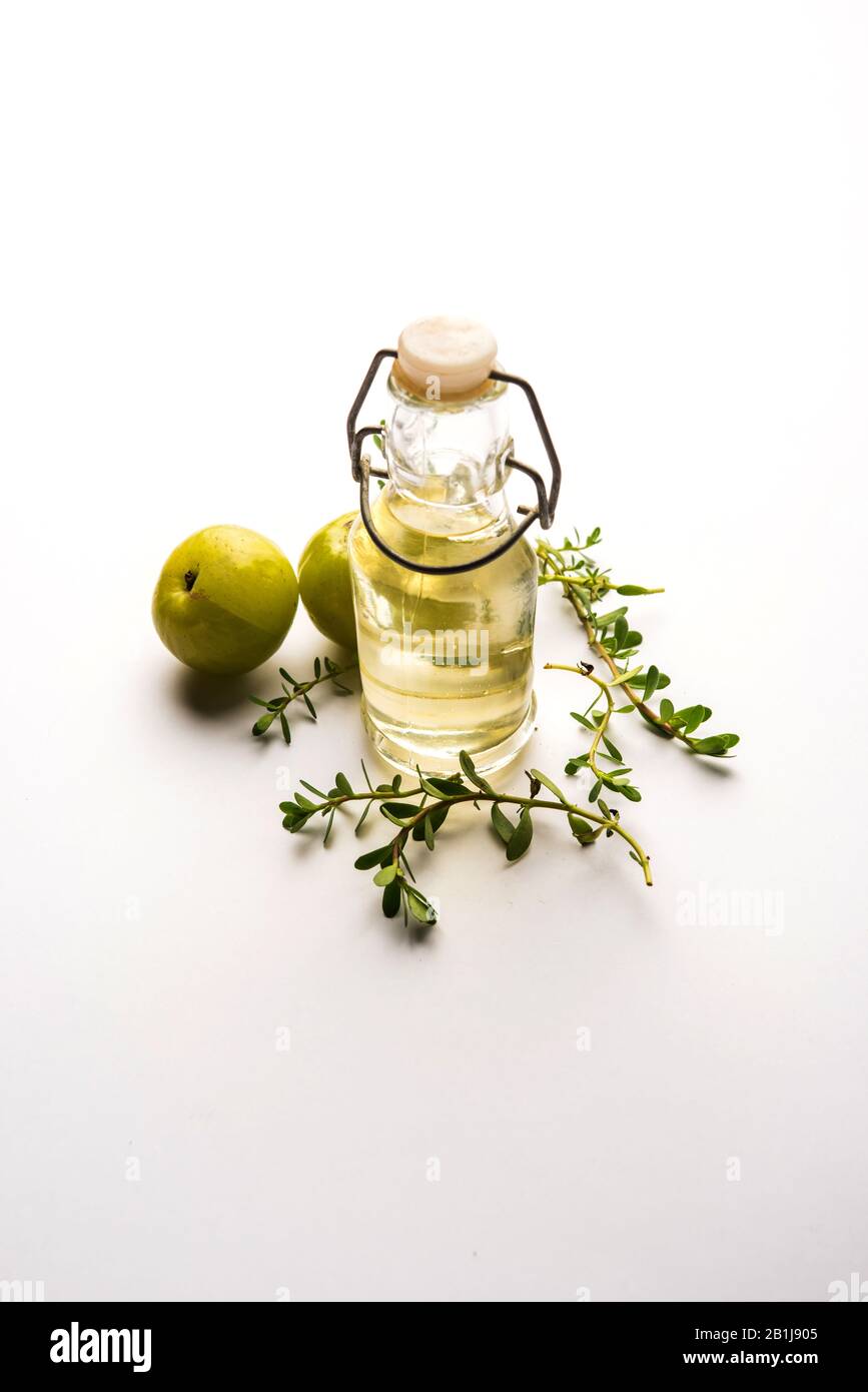 Amla berry Banque de photographies et d’images à haute résolution - Alamy