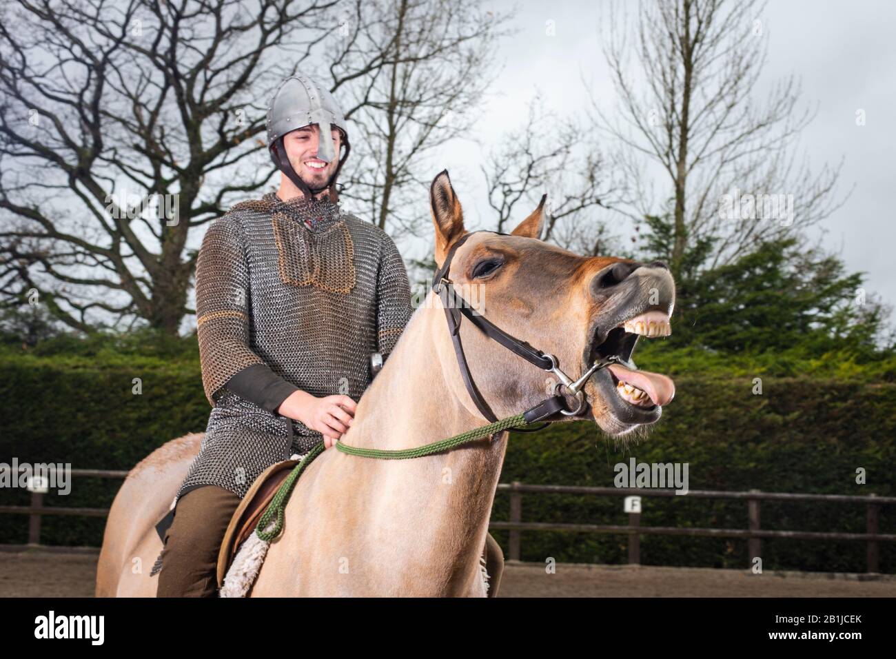 Chevalier romain Banque de photographies et d’images à haute résolution ...