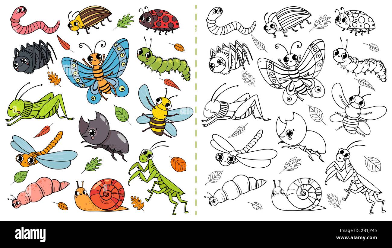 Dessin animé insectes couleur jeu de peinture. Dessinez un insecte ...