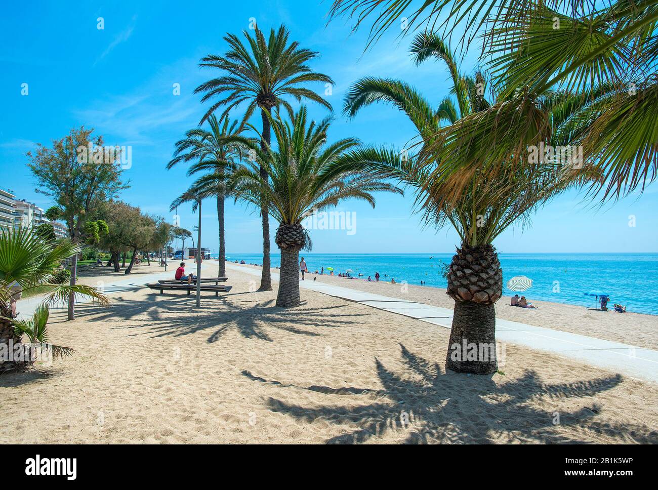 Plage de Pineda de Mar, Barcelone, Espagne Photo Stock - Alamy