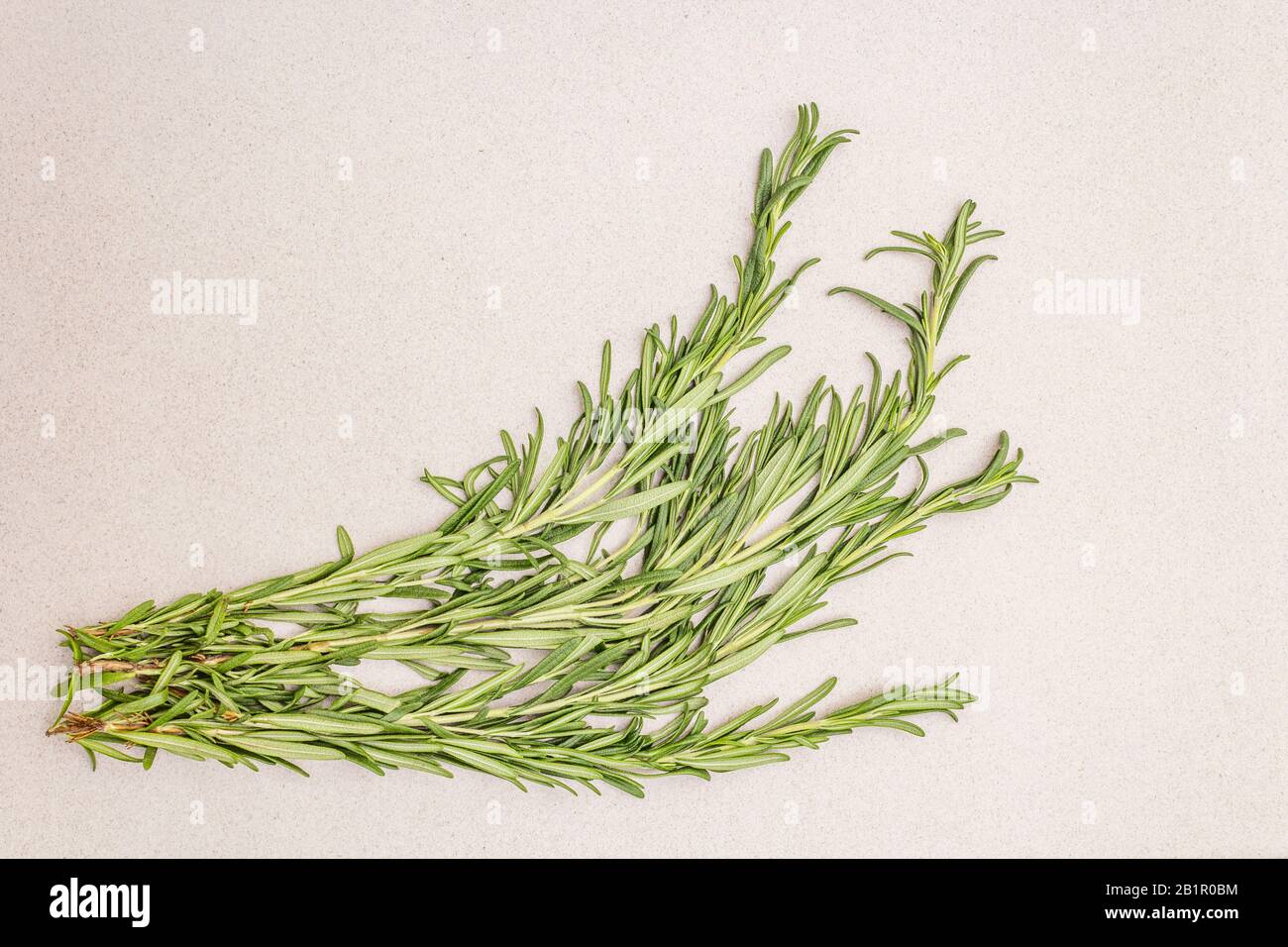 Bouquet de romarin frais. Branches d'herbes brutes pour la préparation ...