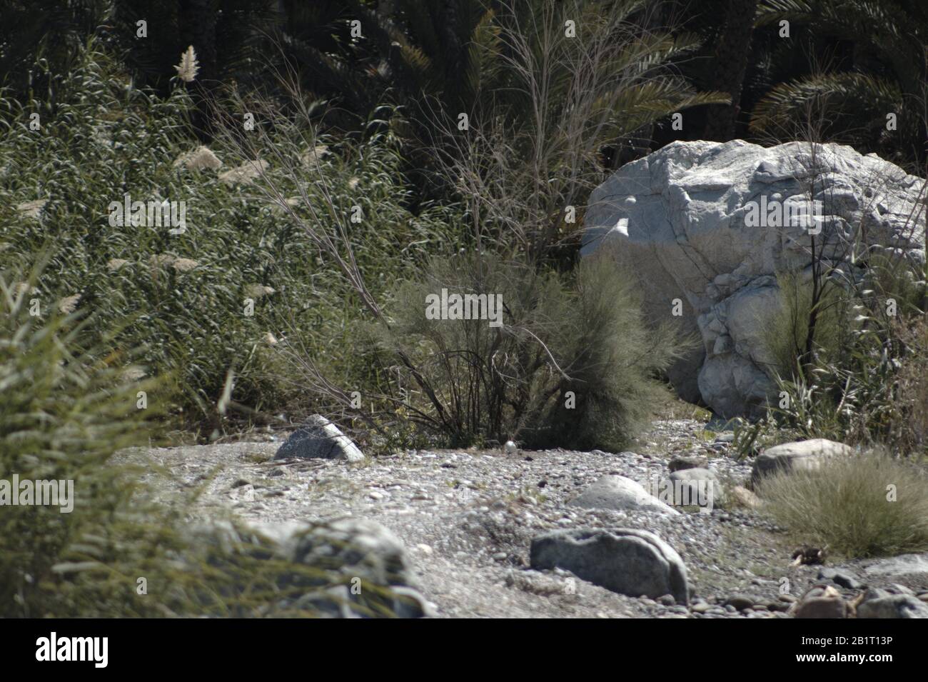 Wadi fanja Banque de photographies et d’images à haute résolution - Alamy
