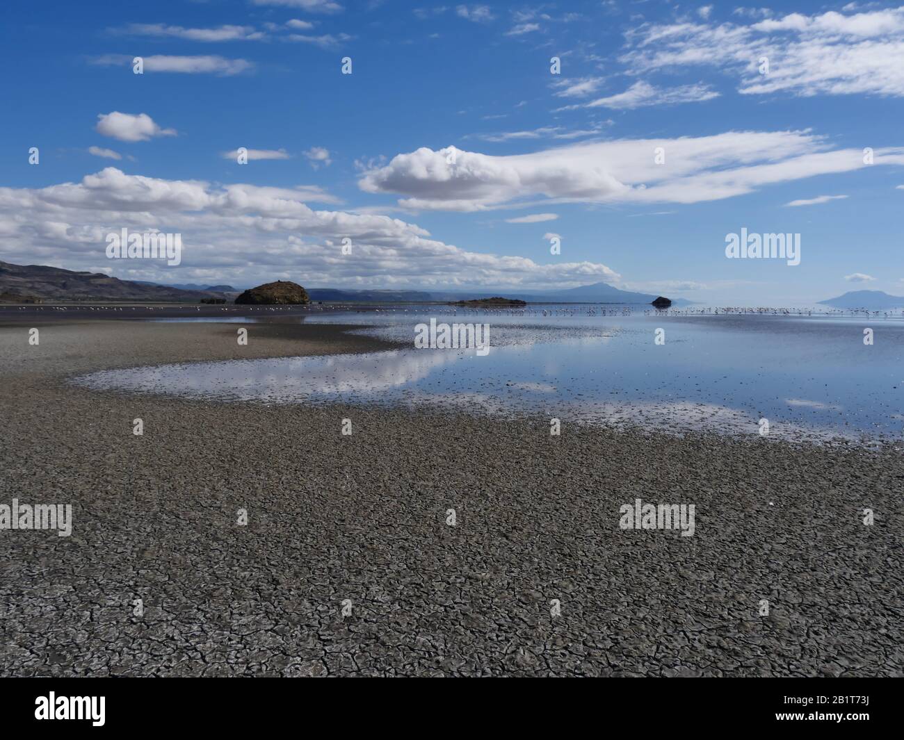 Flamants roses au lac de natron Banque de photographies et d’images à ...