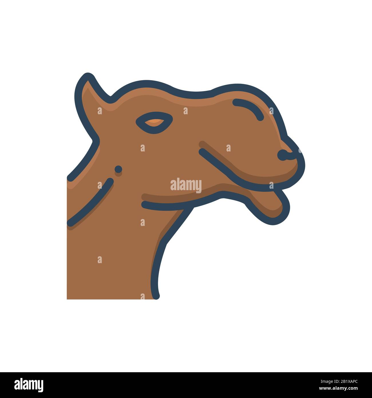 Camel illustration Banque d'images vectorielles - Alamy