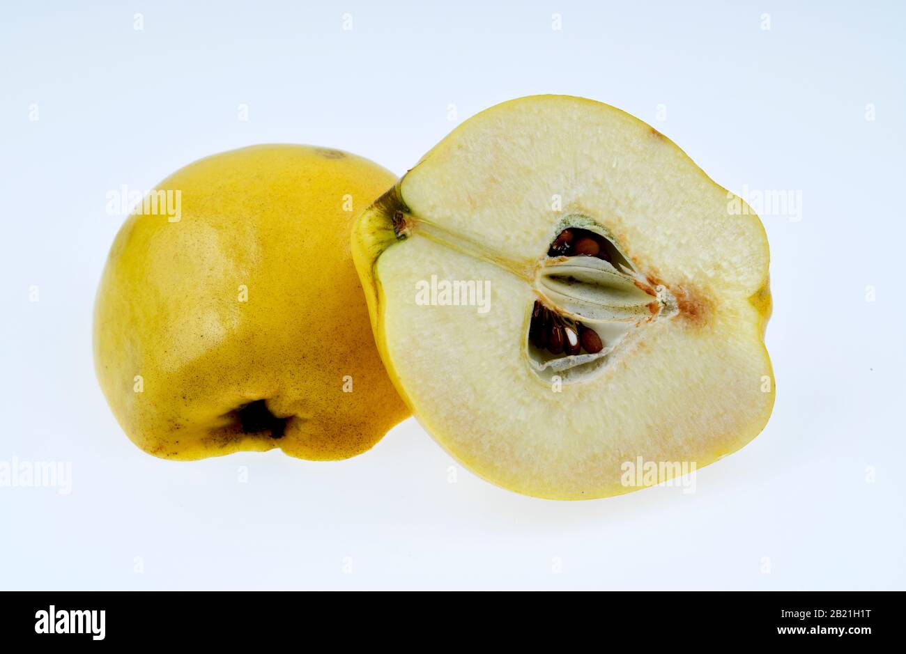 Quitte frucht Banque de photographies et d’images à haute résolution ...