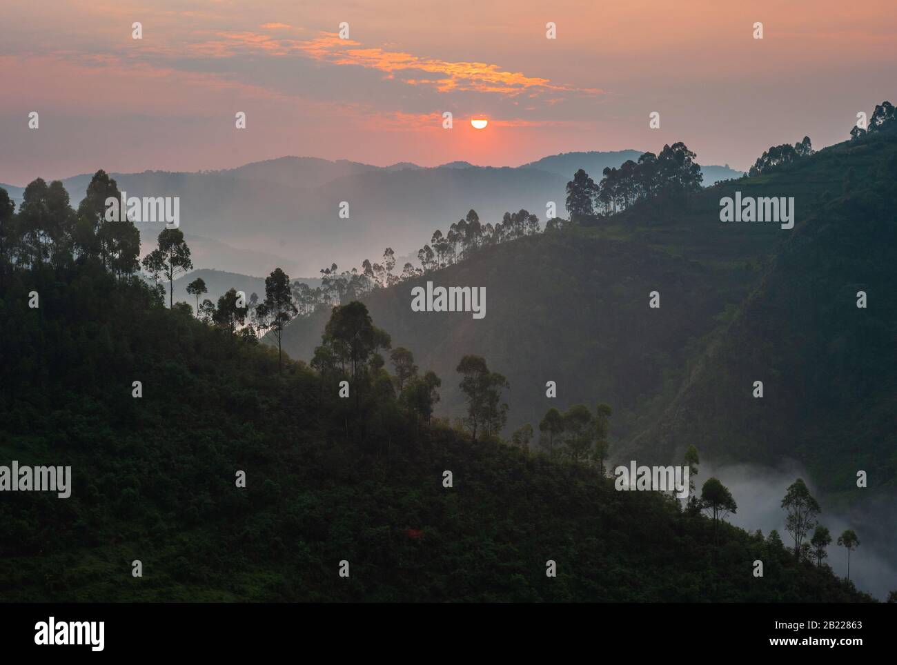 Parc national de la forêt impénétrable de bwindi Banque de ...