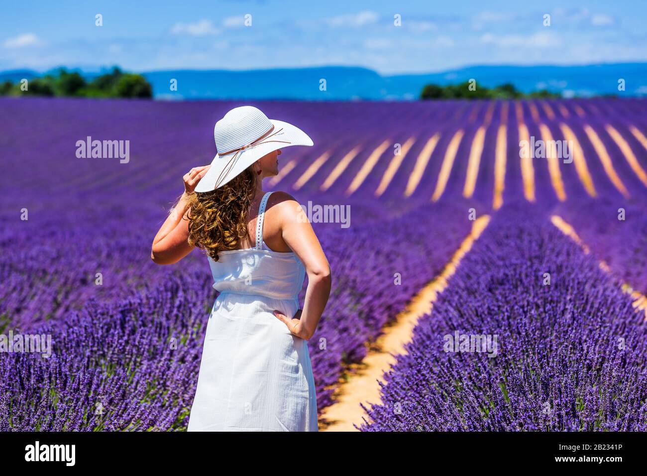 Model in lavender fields Banque de photographies et d’images à haute ...