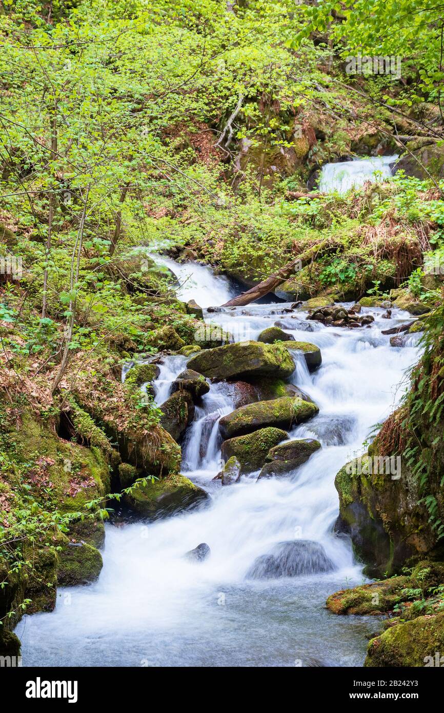 ruisseau rapide de l'eau dans la forêt. flux puissant parmi les roches ...