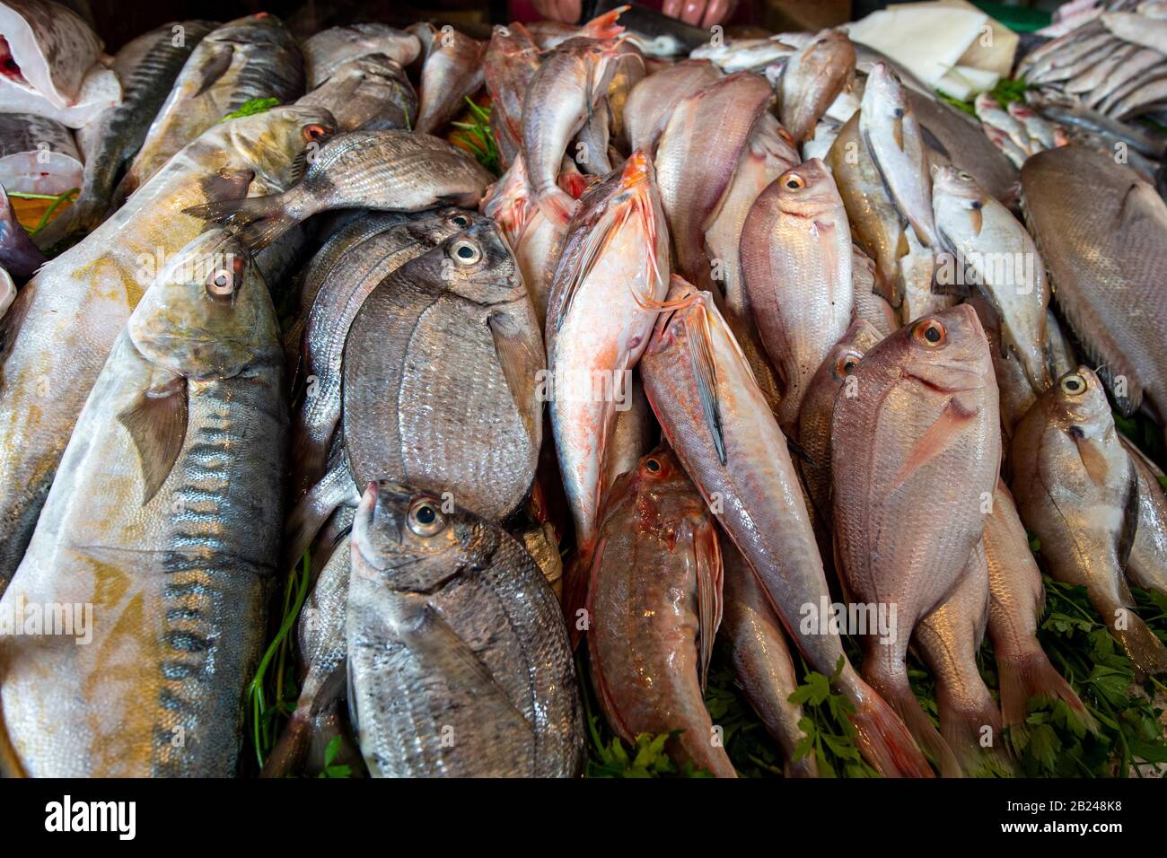 Marché poisson maroc Banque de photographies et d’images à haute ...