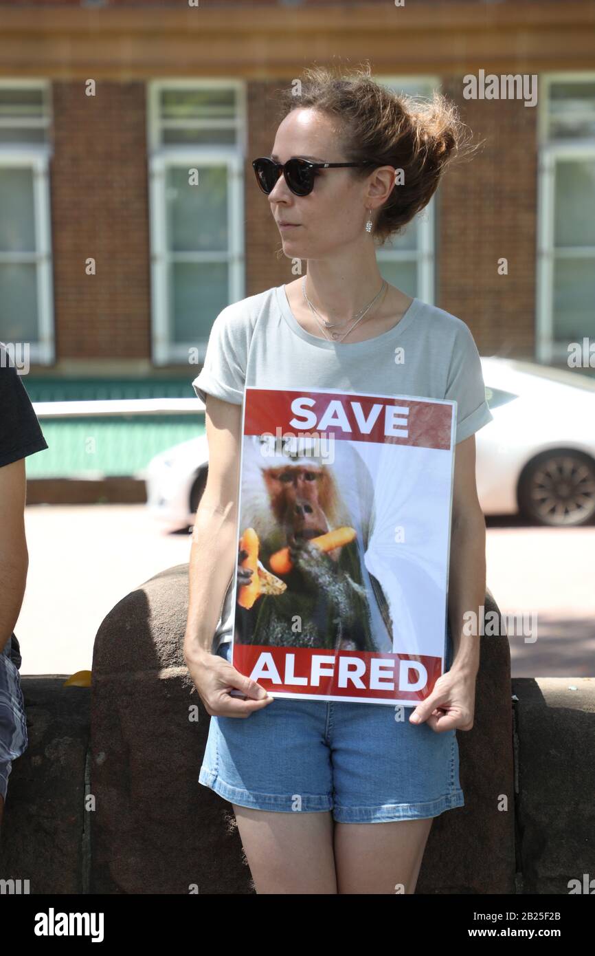 Emma hurst Banque de photographies et d’images à haute résolution - Alamy