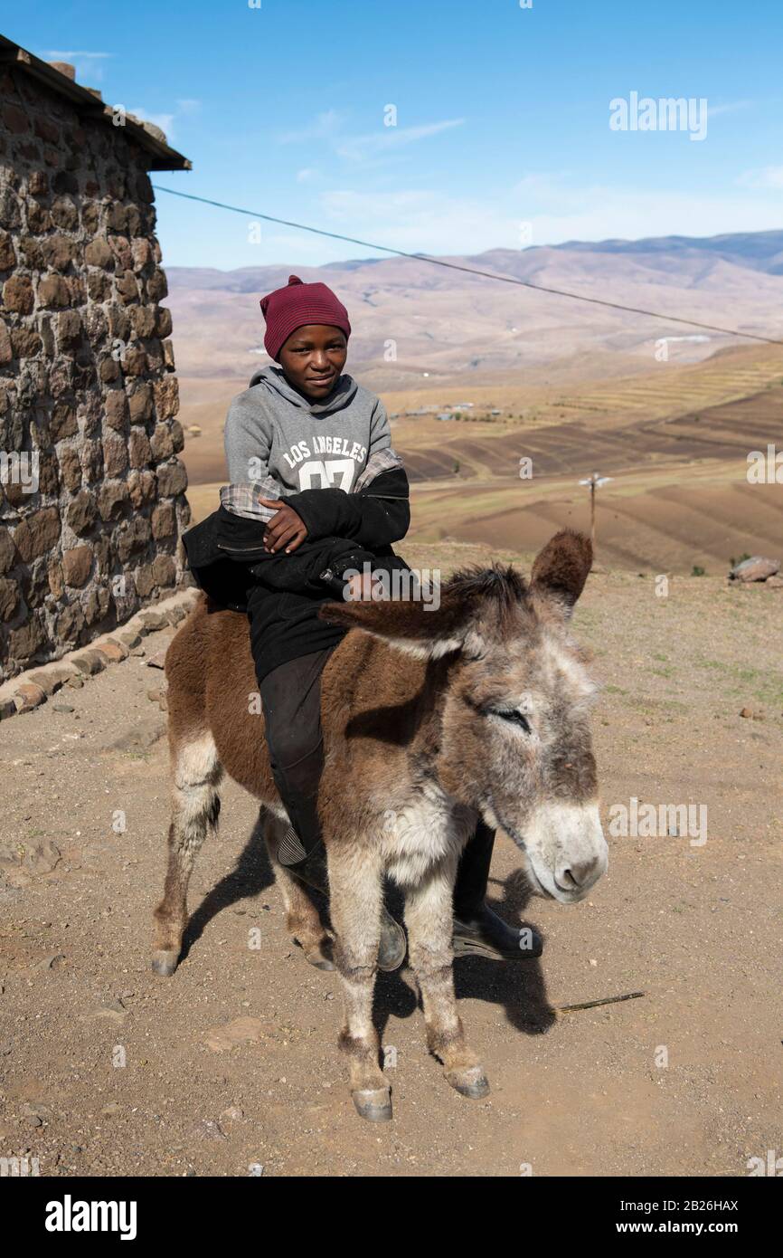 Basotho boy lesotho africa Banque de photographies et d’images à haute ...