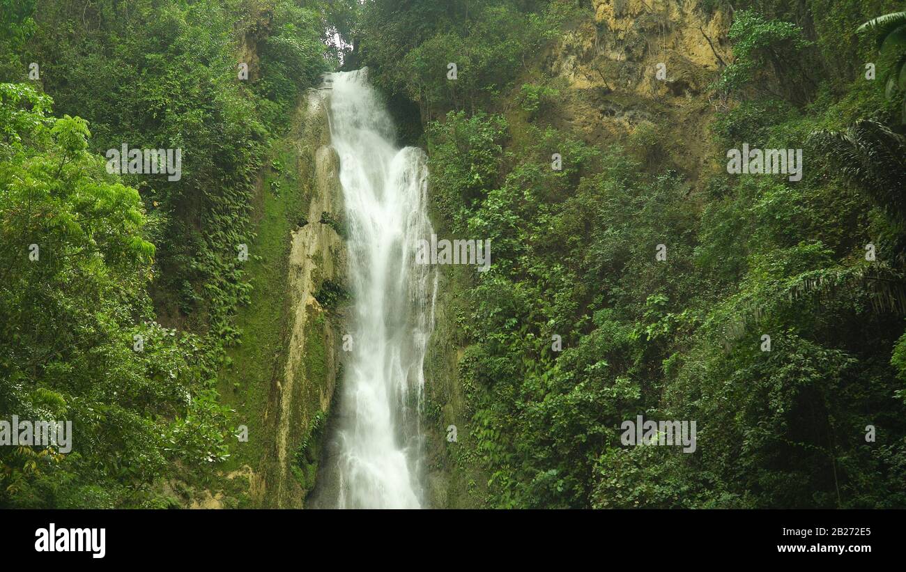 Chute d'eau de la jungle dans une forêt tropicale entourée de ...