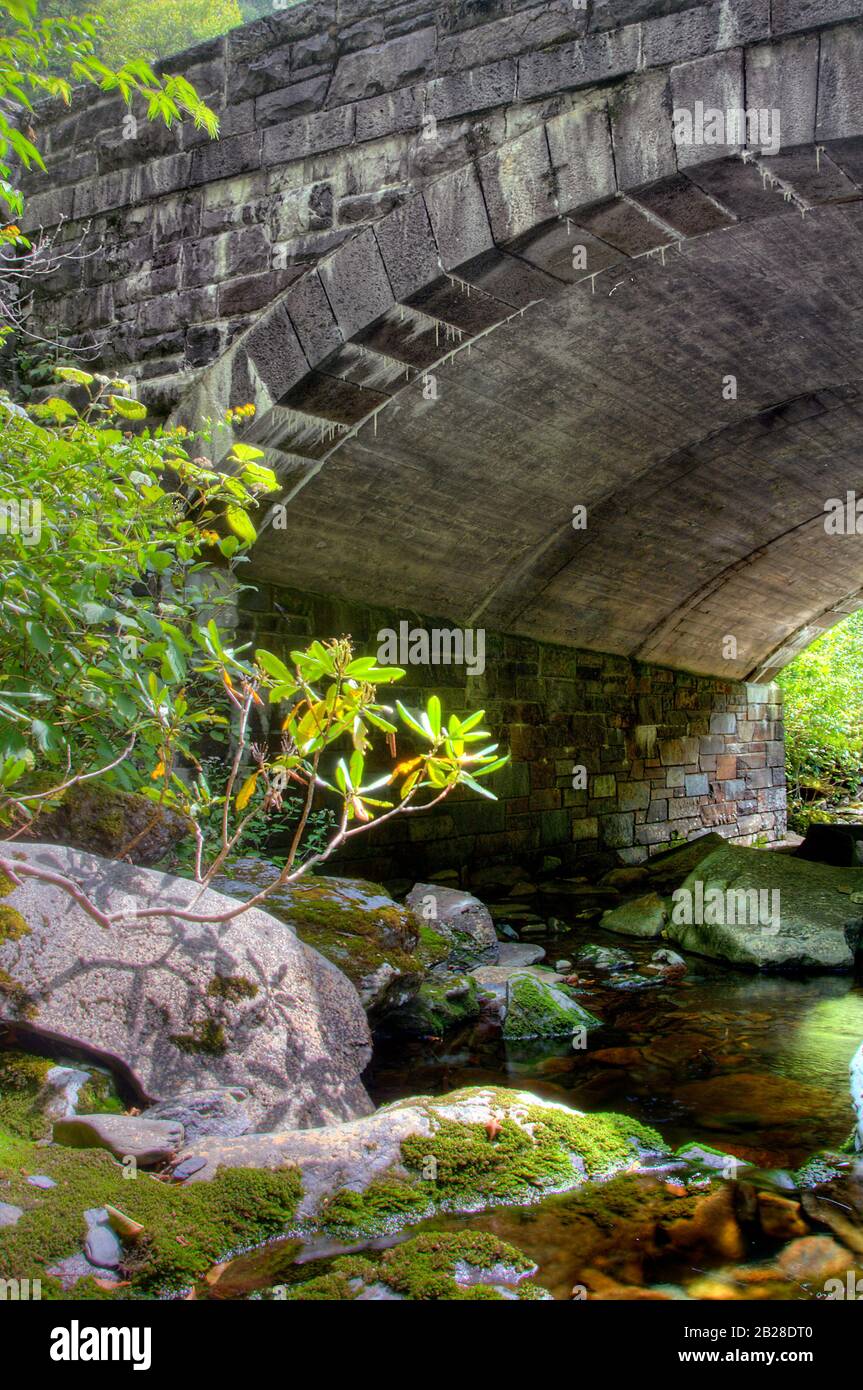 Lit de ruisseau À Faible Réflexion Qui Longe un sentier rocheux sous l ...