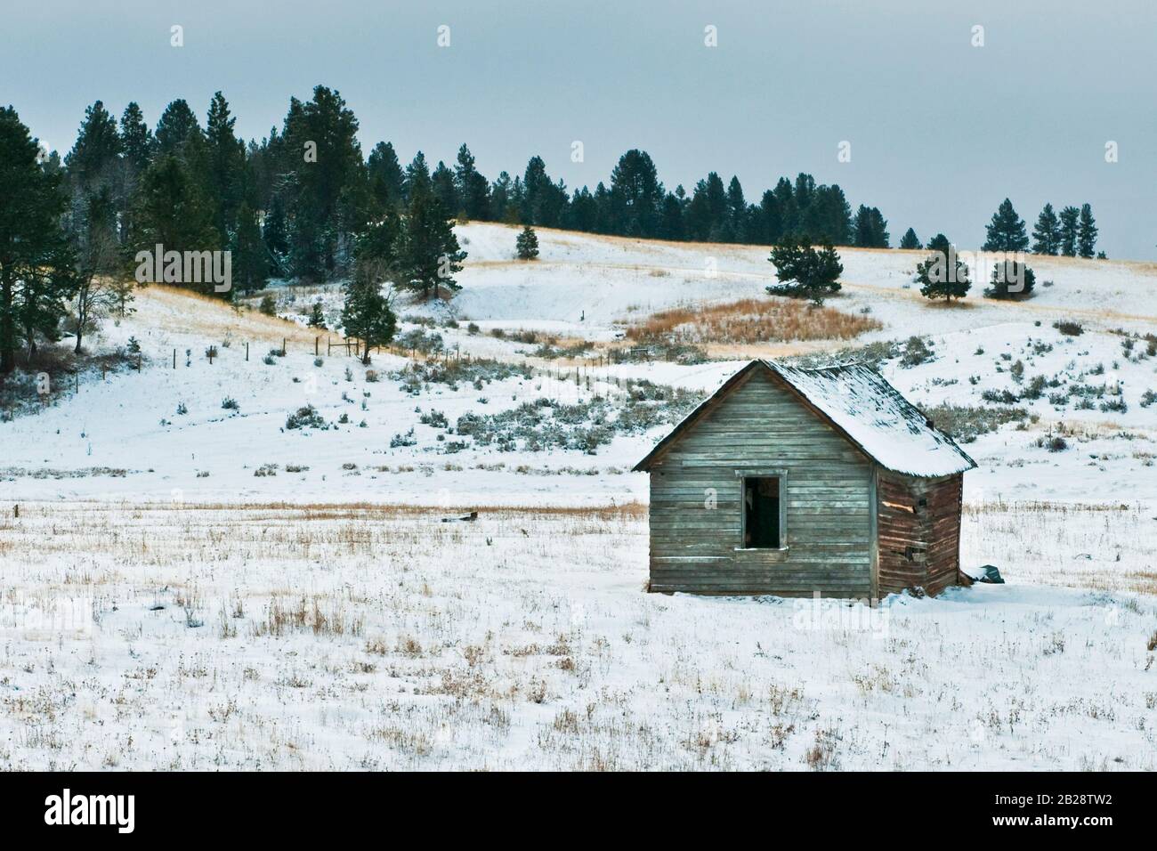 Petite cabane vieillie et délabrée sur la colline contre le vaste champ ...