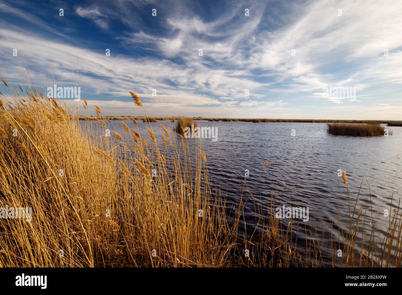 Parc national de neusiedlersee seewinkel Banque de photographies et d ...