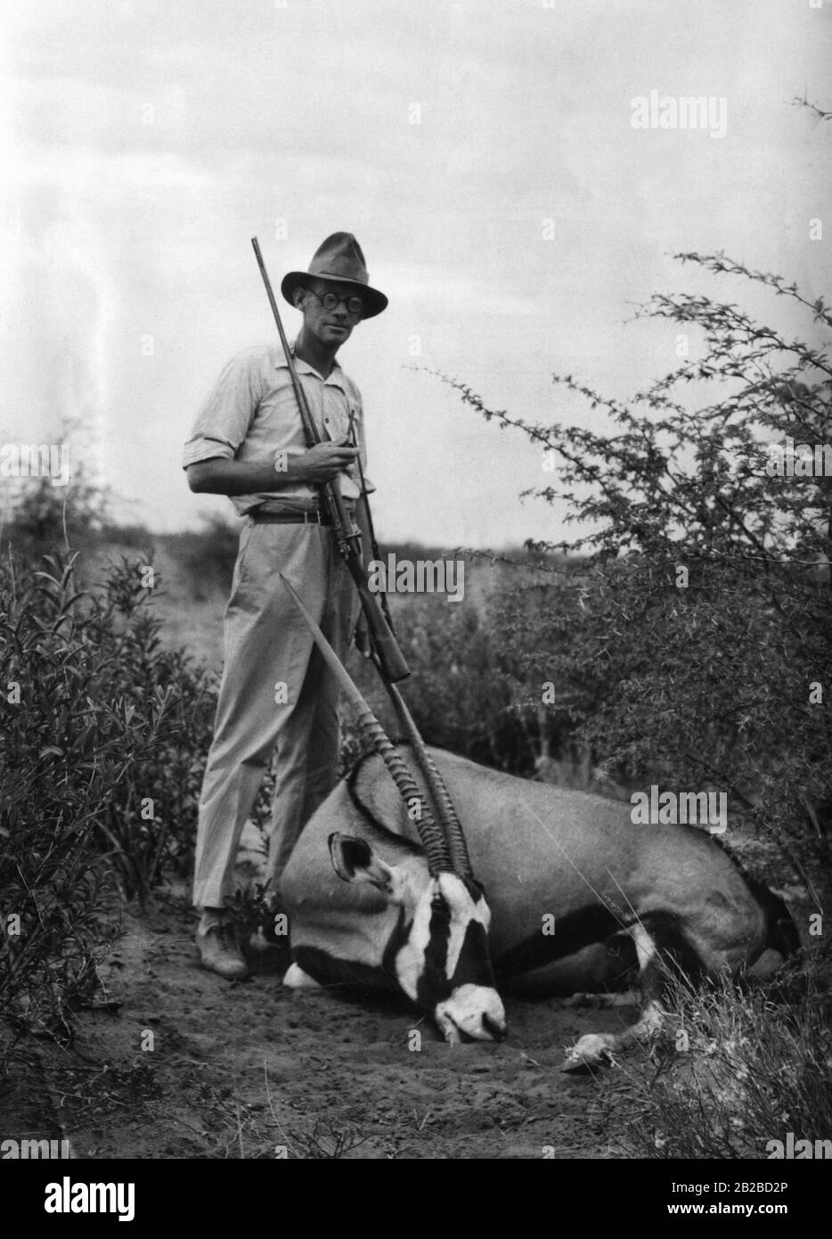 Colon blanc Banque de photographies et d’images à haute résolution - Alamy