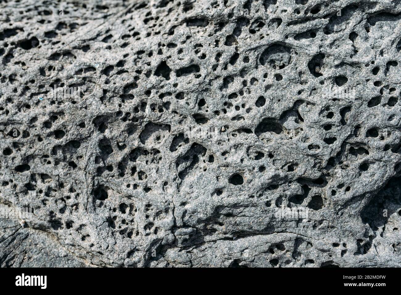 Porous stone Banque de photographies et d’images à haute résolution - Alamy