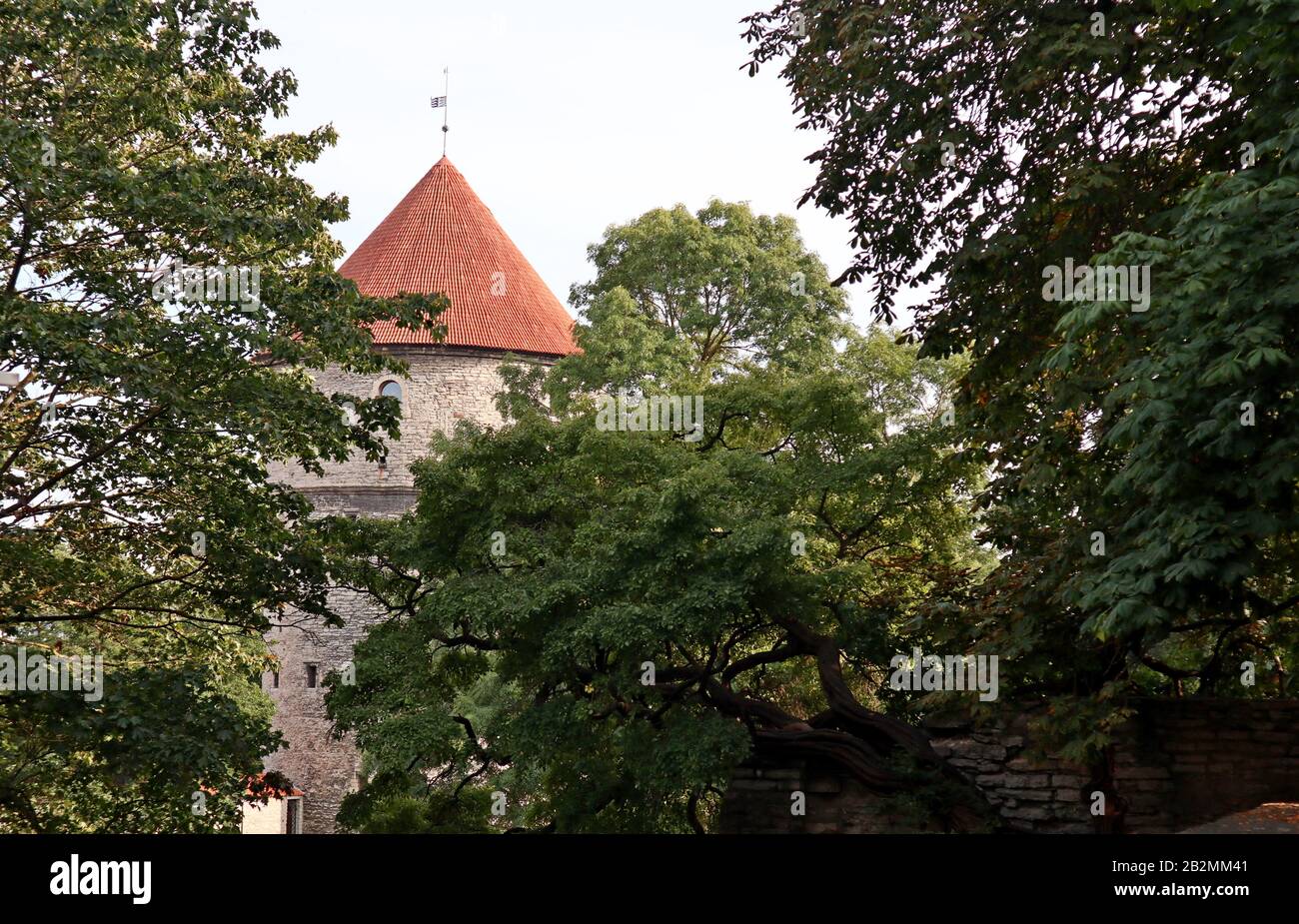 Forteresse médiévale en pierre vieux bâtiments à Tallinn Estonie ...