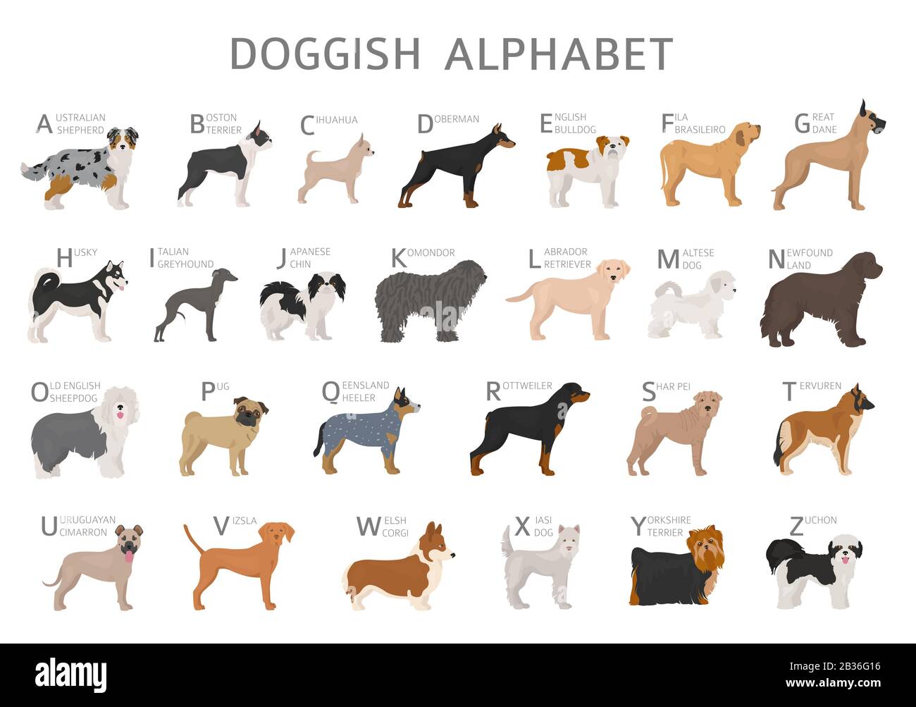 Alphabet Doggish pour les amoureux de chien. Lettres de l'alphabet avec ...