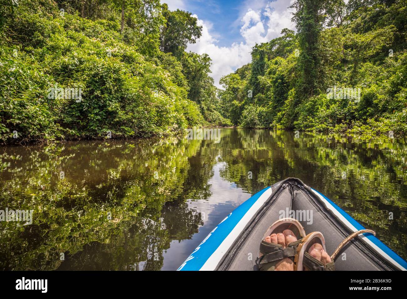 France, Guyane française, région non explorée à la frontière entre le ...