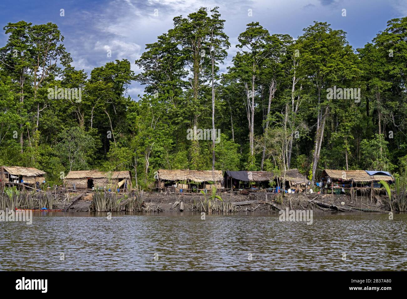 Tribu asmat Banque de photographies et d’images à haute résolution - Alamy