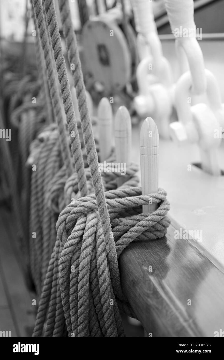 Pins maritime Banque de photographies et d’images à haute résolution ...