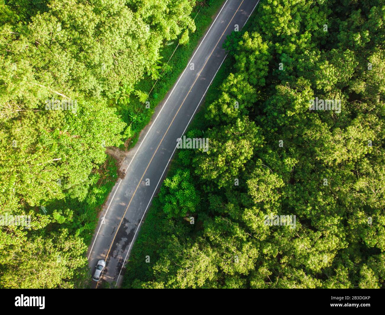 Courbe de la route asphaltée dans la vue aérienne de la forêt tropicale ...