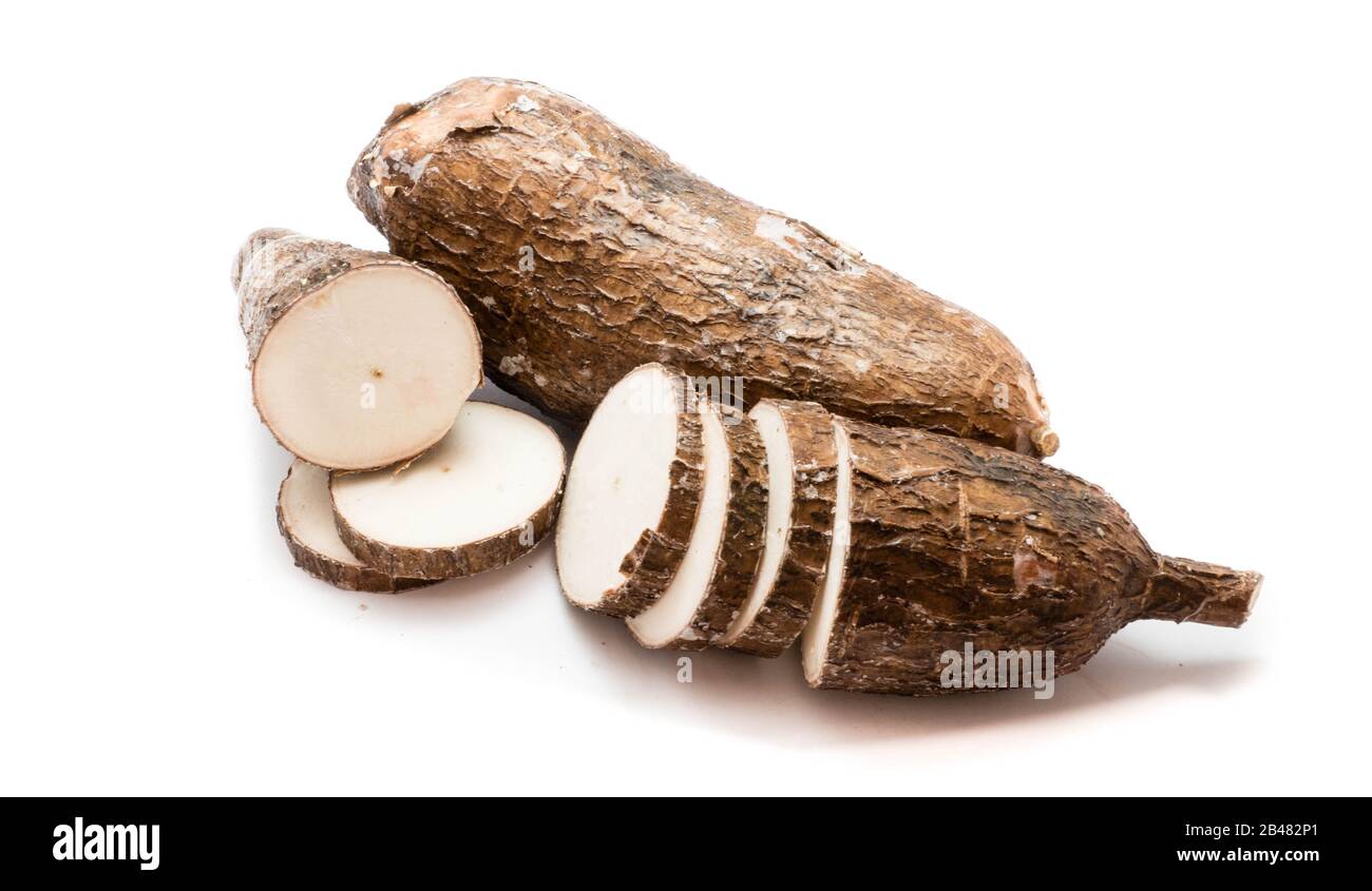 Ferme de manioc Banque d'images détourées - Alamy