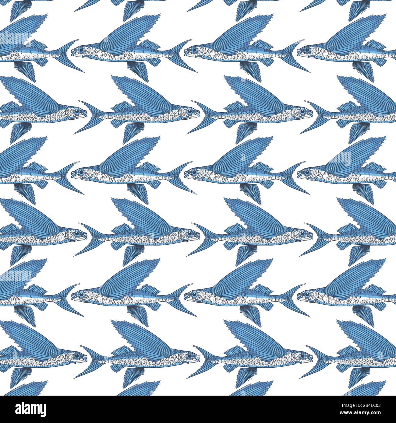 Exocoetidae flying fish marine Banque de photographies et d’images à ...