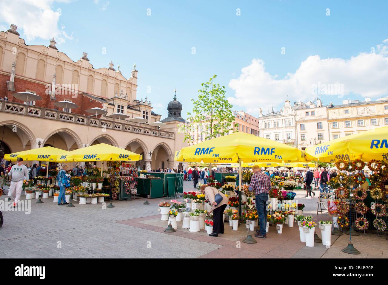 Rynek glowny square square Banque de photographies et d’images à haute ...