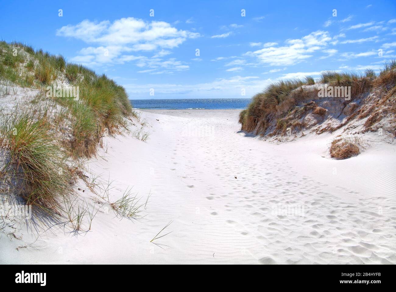 Paysage de dunes mer du nord Banque de photographies et d’images à ...