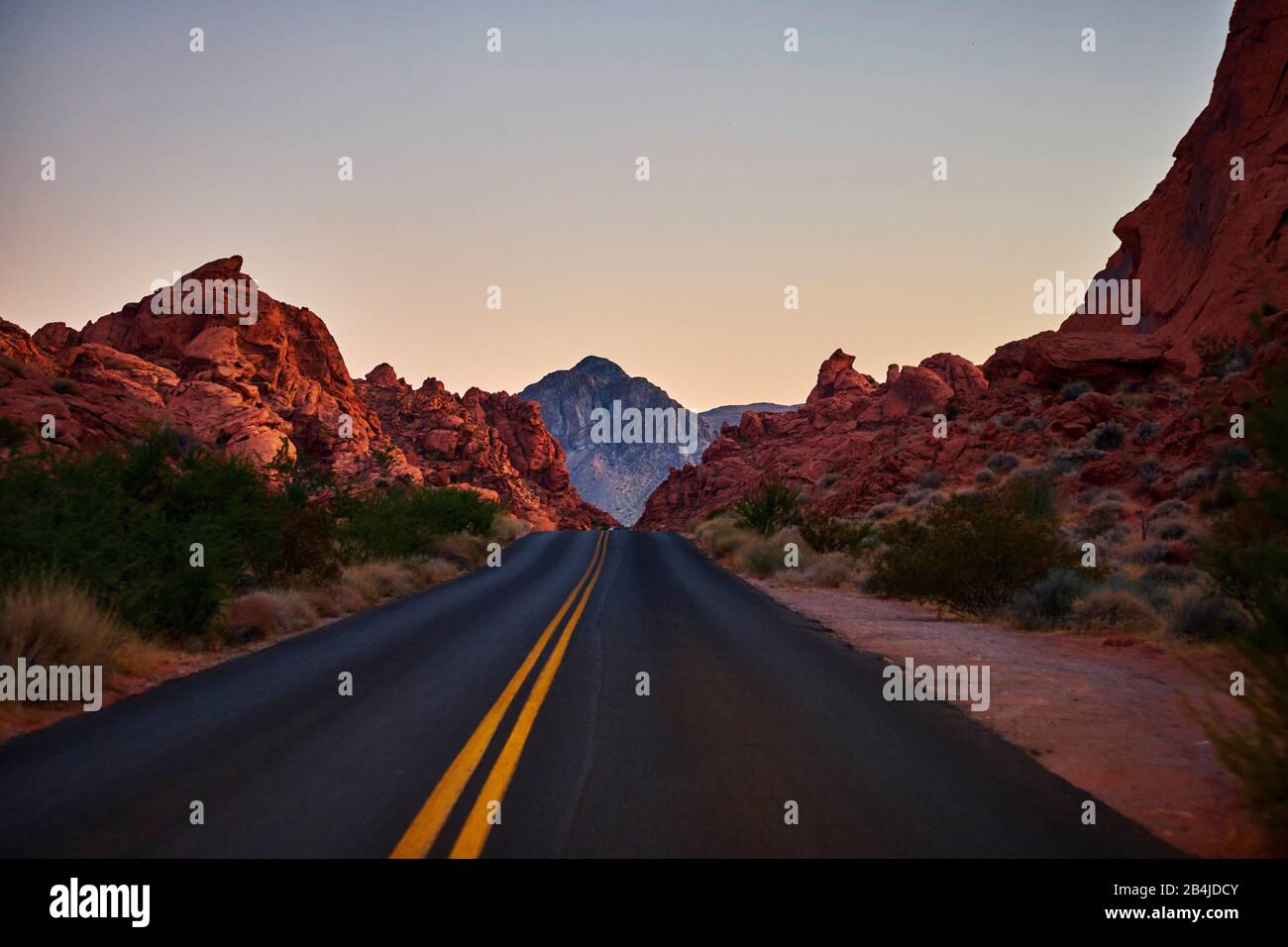 Mouse tank Banque de photographies et d’images à haute résolution - Alamy