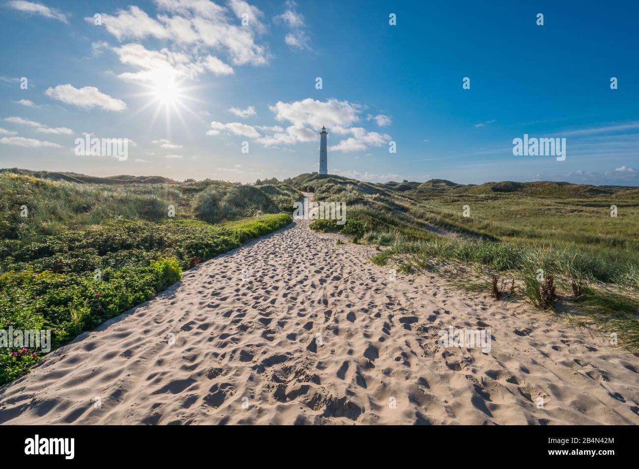 Paysage De Dune Banque d'image et photos - Alamy