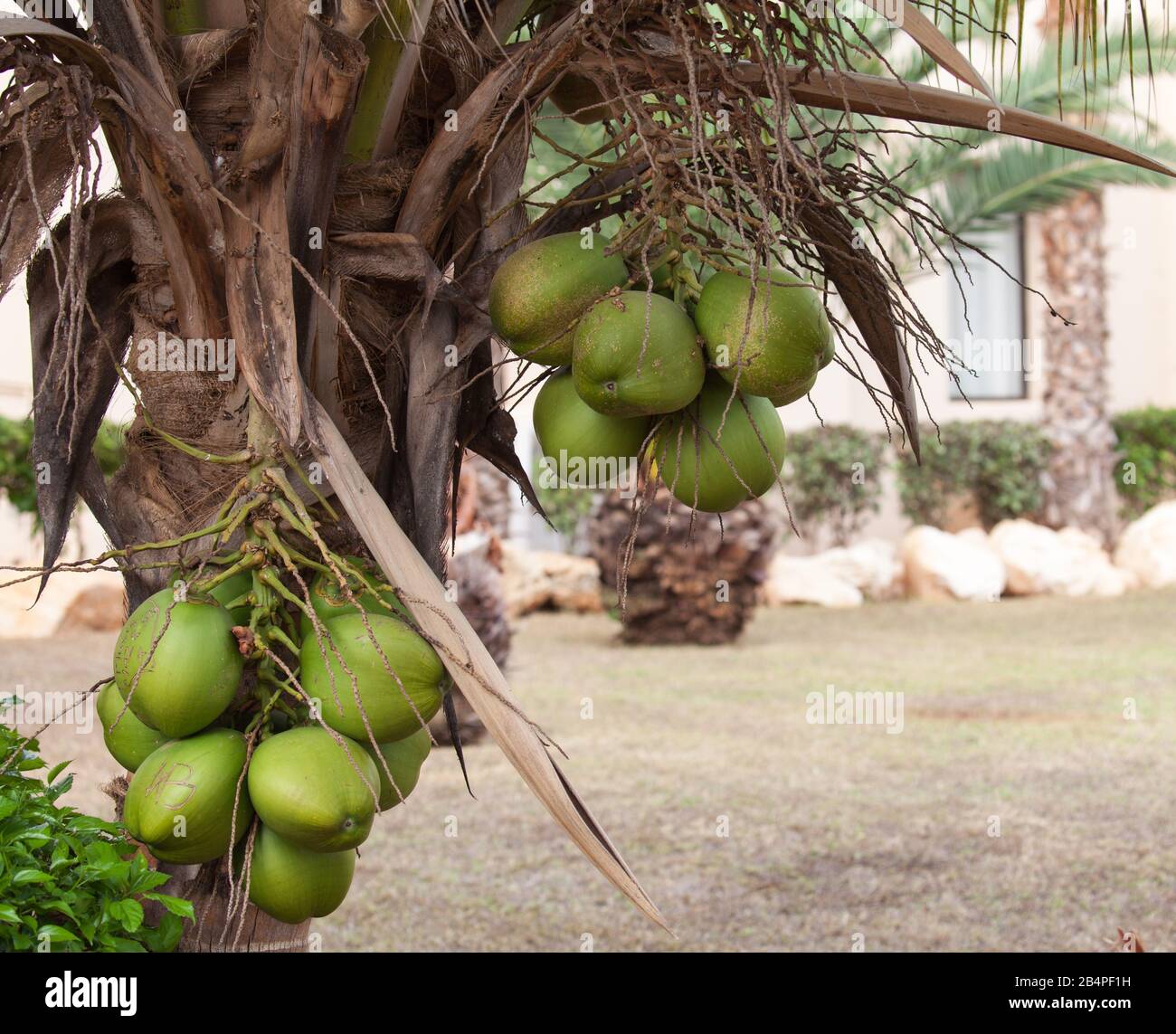 Cap douce paix Banque de photographies et d’images à haute résolution ...