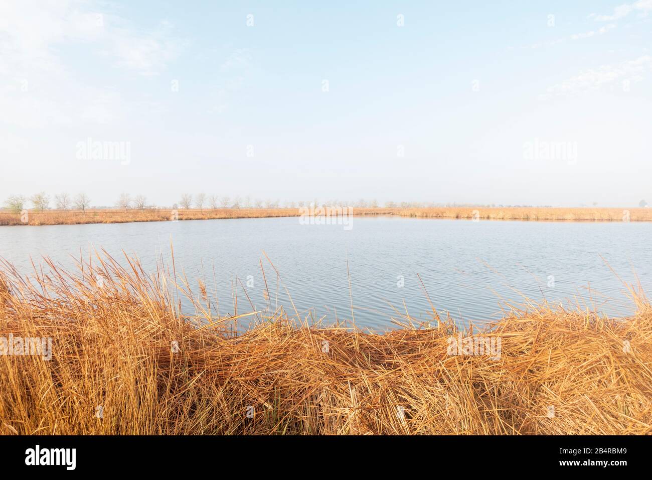 Ebro delta national park Banque de photographies et d’images à haute ...