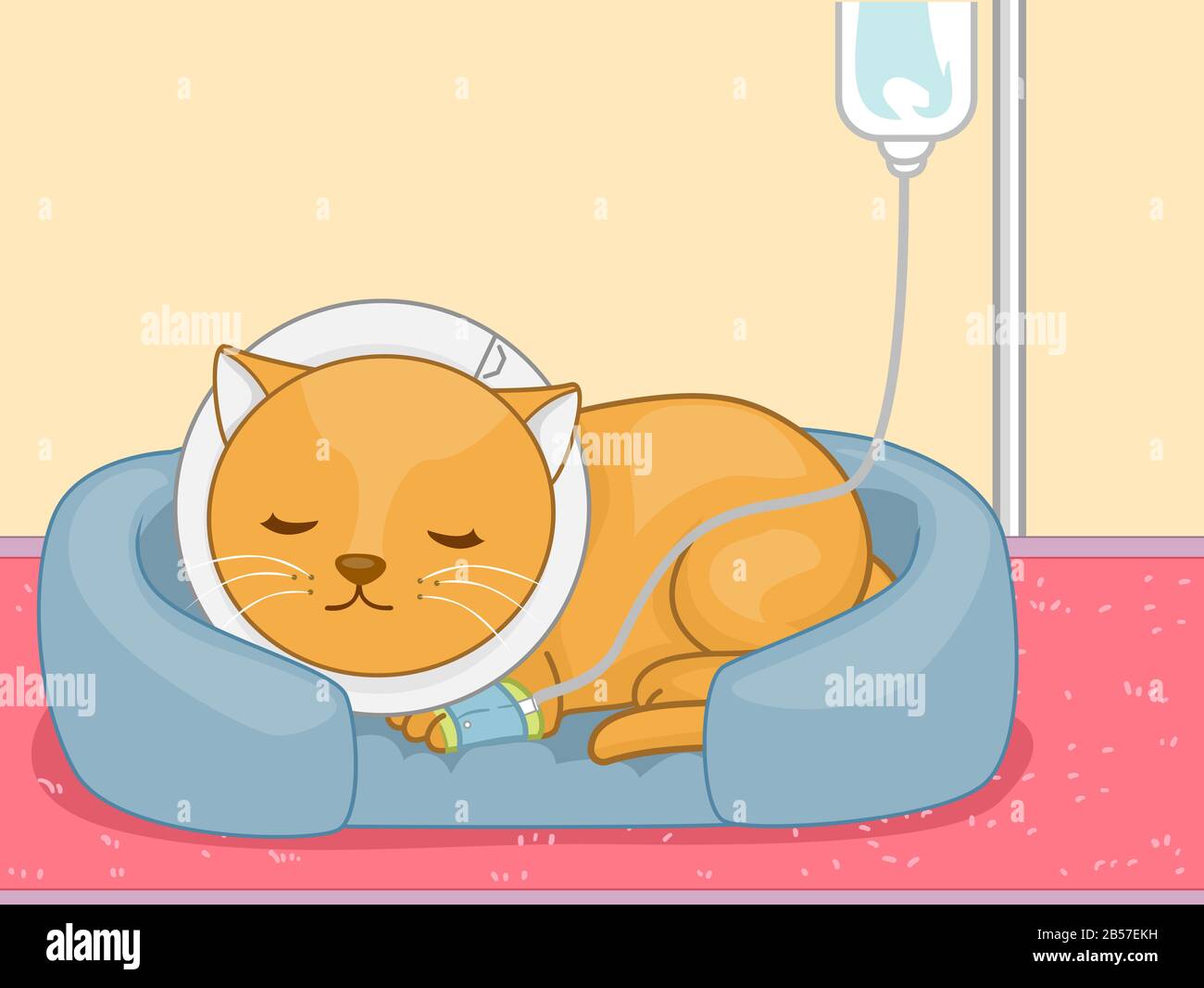 Illustration D'Un Animal De Compagnie Sick Cat Allongé À Plat Sur Son ...