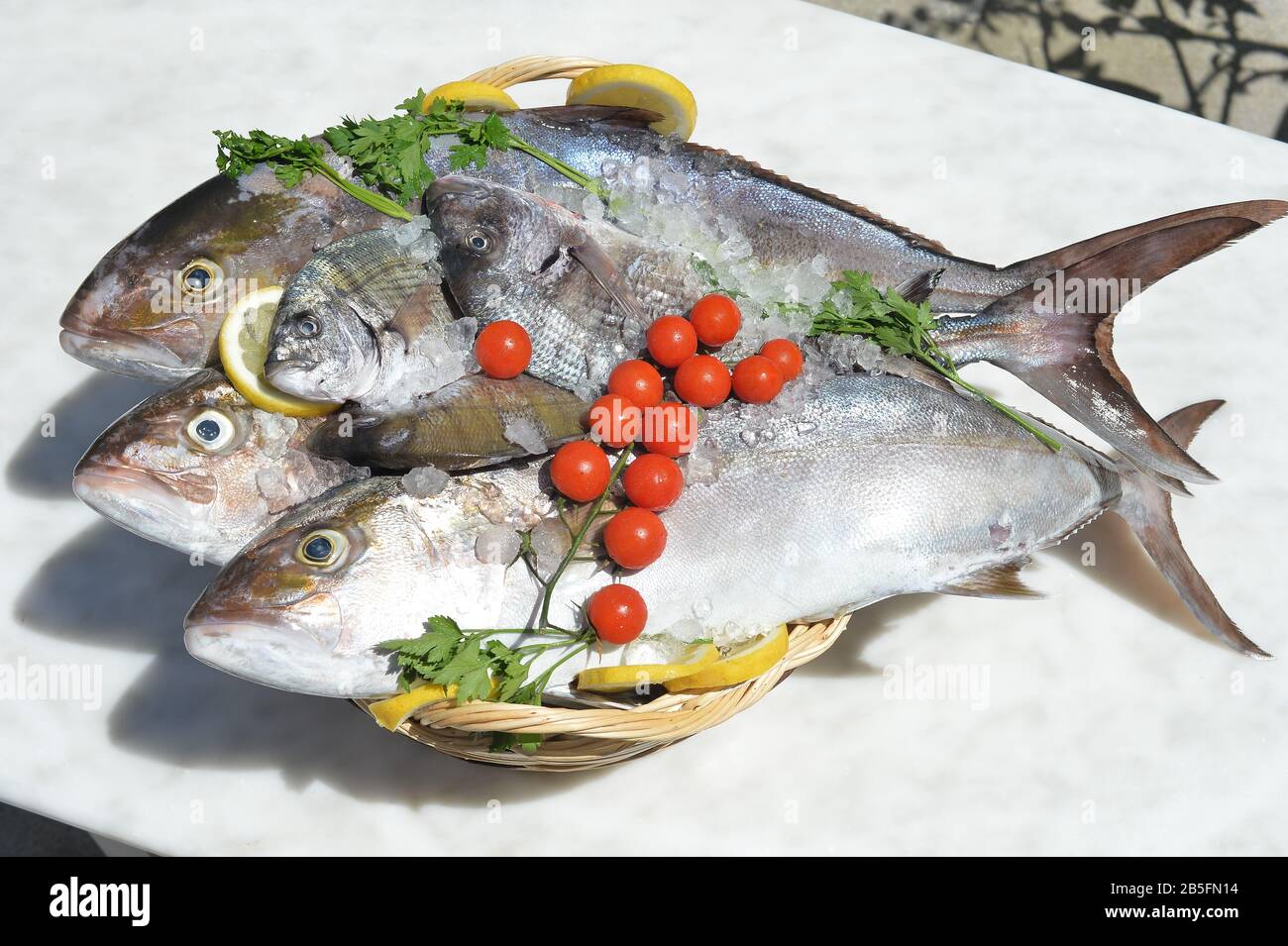 Poisson méditerranéen Banque de photographies et d’images à haute ...